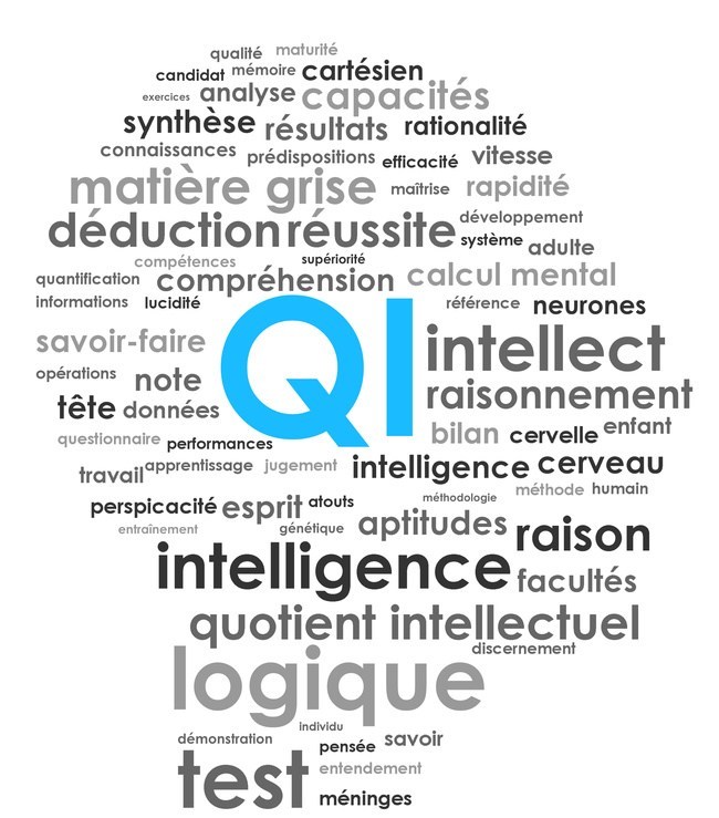 QU’EST-CE QU’UN INTELLECTUEL AU XXIème SIÈCLE ? | www.congo-liberty.com